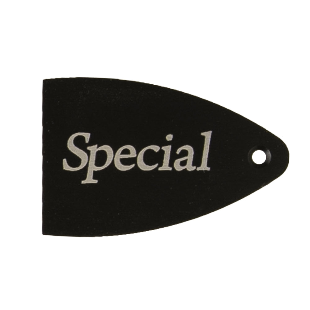 Truss Rod Cover, Special – PRS Parts & Accessories UK